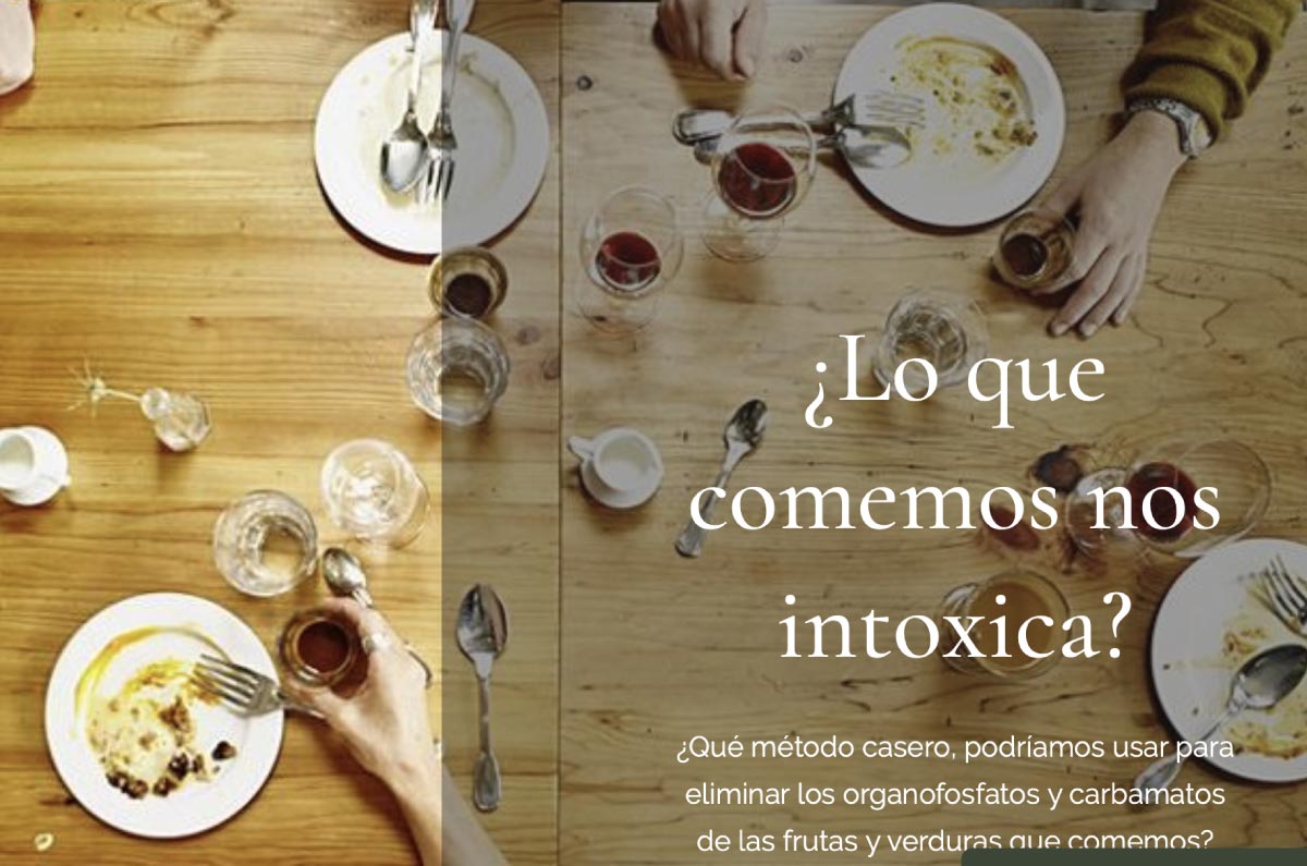 ¿Lo que comemos nos intoxica? | Colegio Nogales